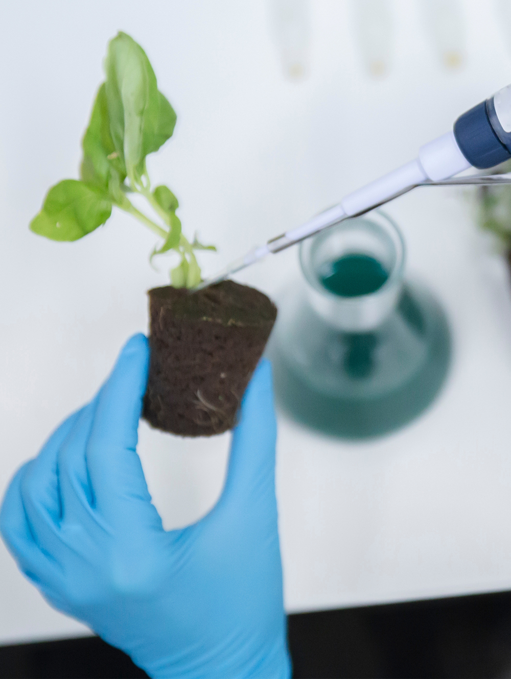 BAT Chile - Marcas y productos