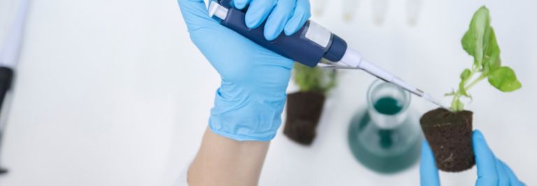 BAT Chile - Reducción de riesgos