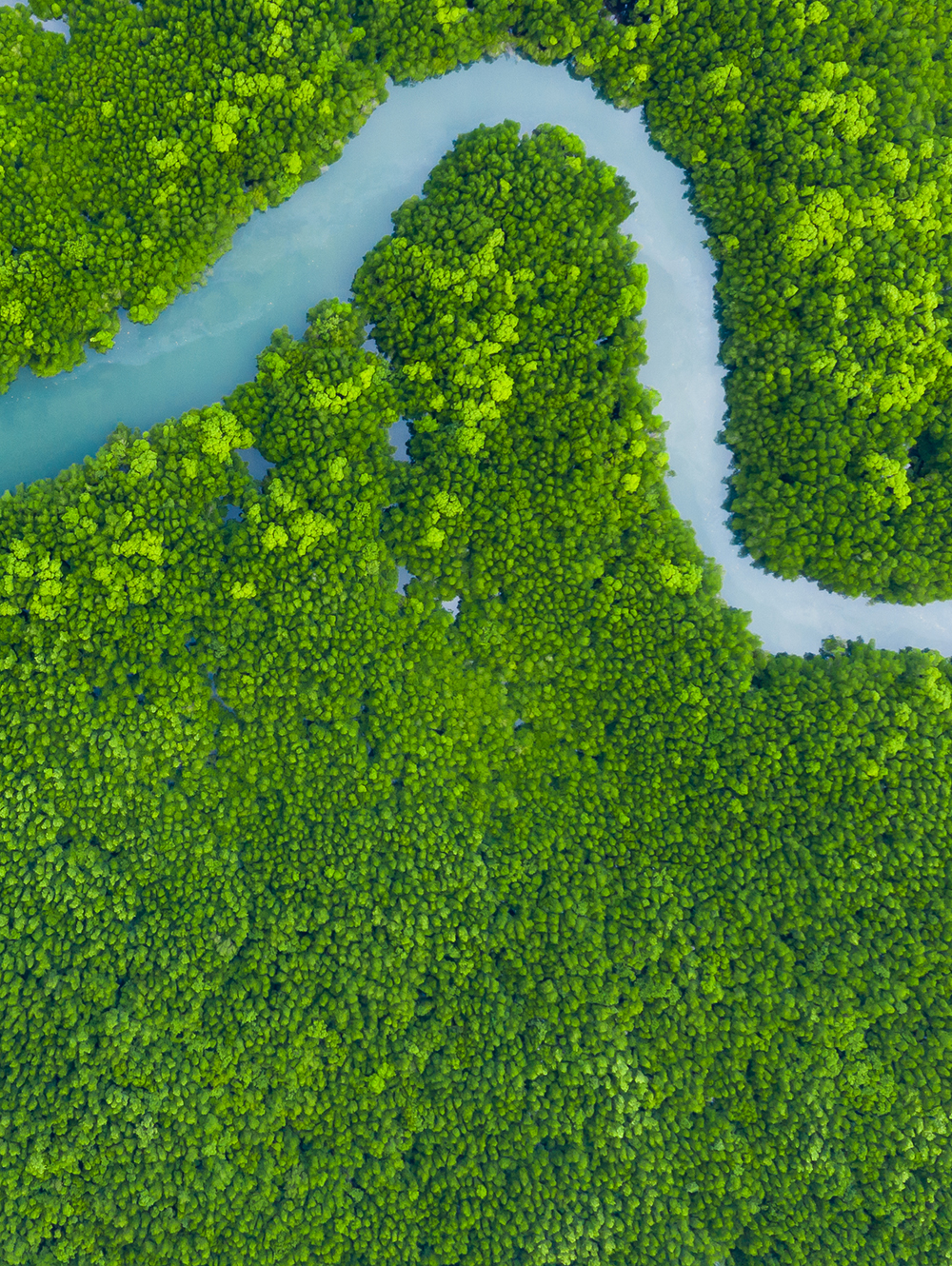 BAT Chile - Sostenibilidad y responsabilidad