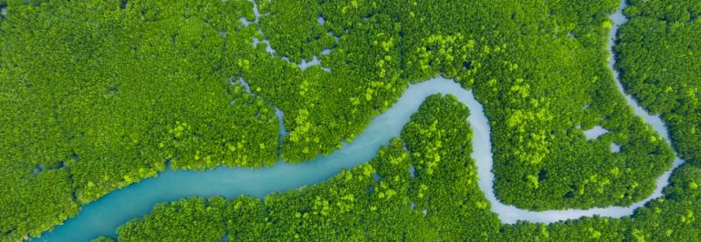 BAT Chile - Certificación AWS