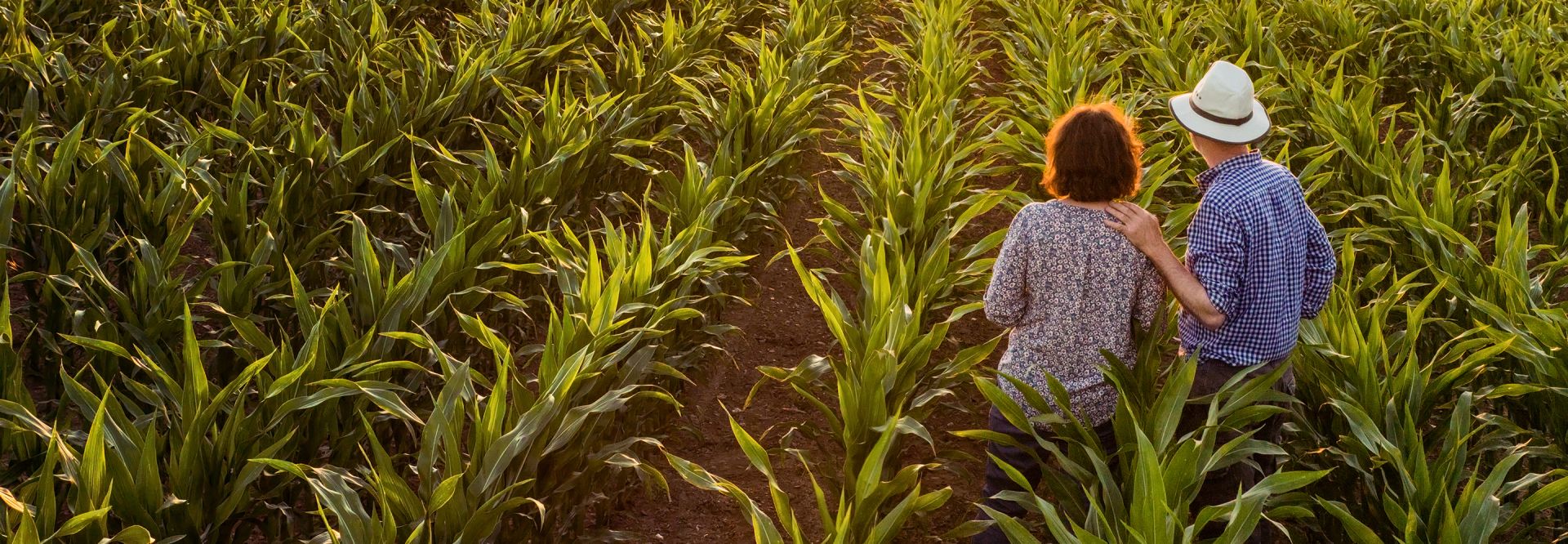 BAT Chile - Enfoque sustentable